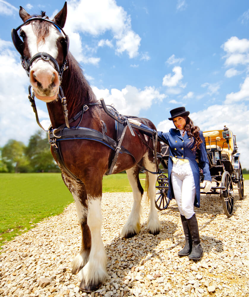 ZUGFeRD 2.0 - was ist das und ersetzt es die XRechnung?